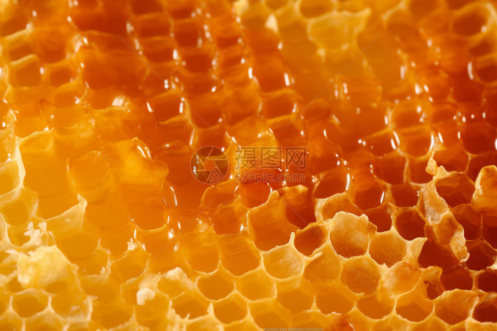 有机蜂蜡图高清图片下载 正版图片600138901 摄图网